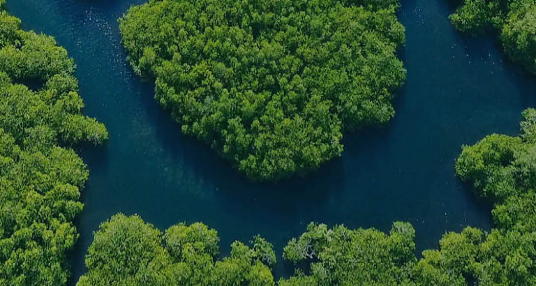 Green Tech, Green Development - CCS Insight